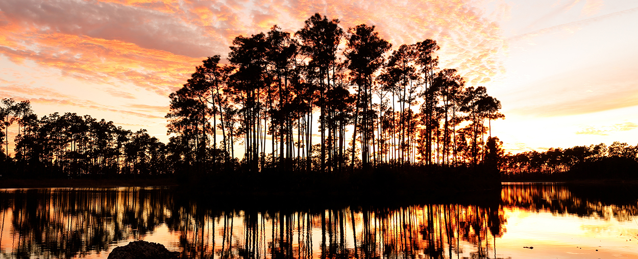Home | Ecosystem Science and Policy | University of Miami